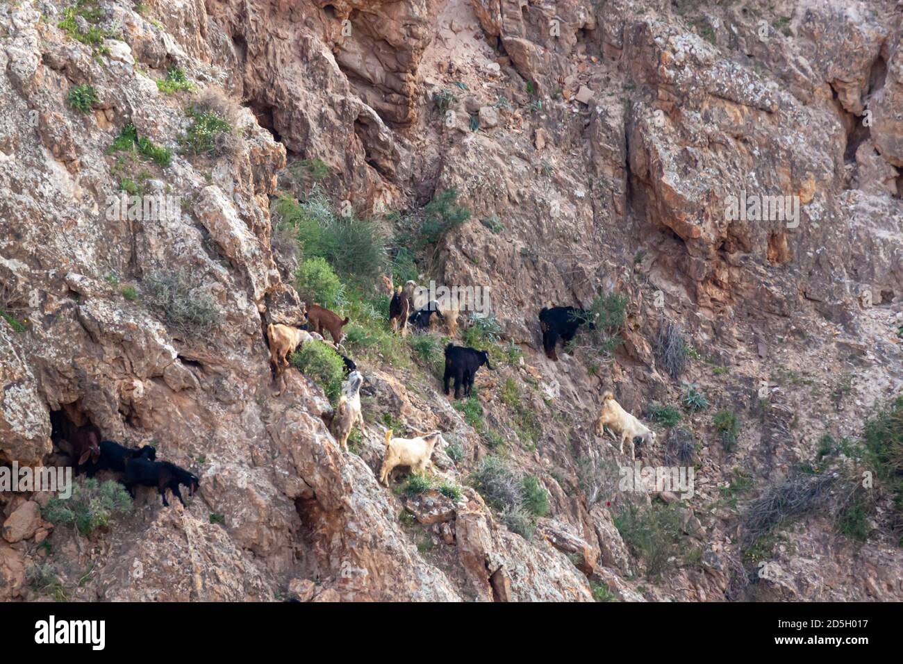 Master cliff hi-res stock photography and images - Alamy