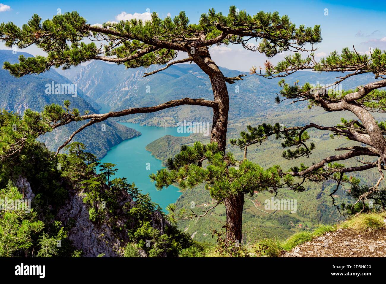 View at Perucac lake and river Drina from Tara mountain in Serbia Stock ...