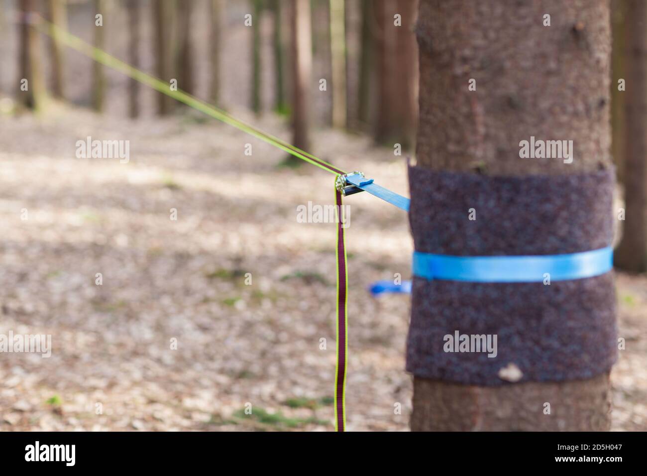 Man walking, jumping and balancing on rope in park Sports a tightrope ...