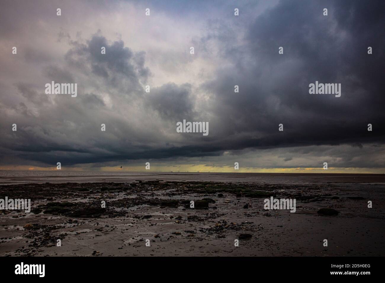 Ammonite in chalk hi-res stock photography and images - Alamy