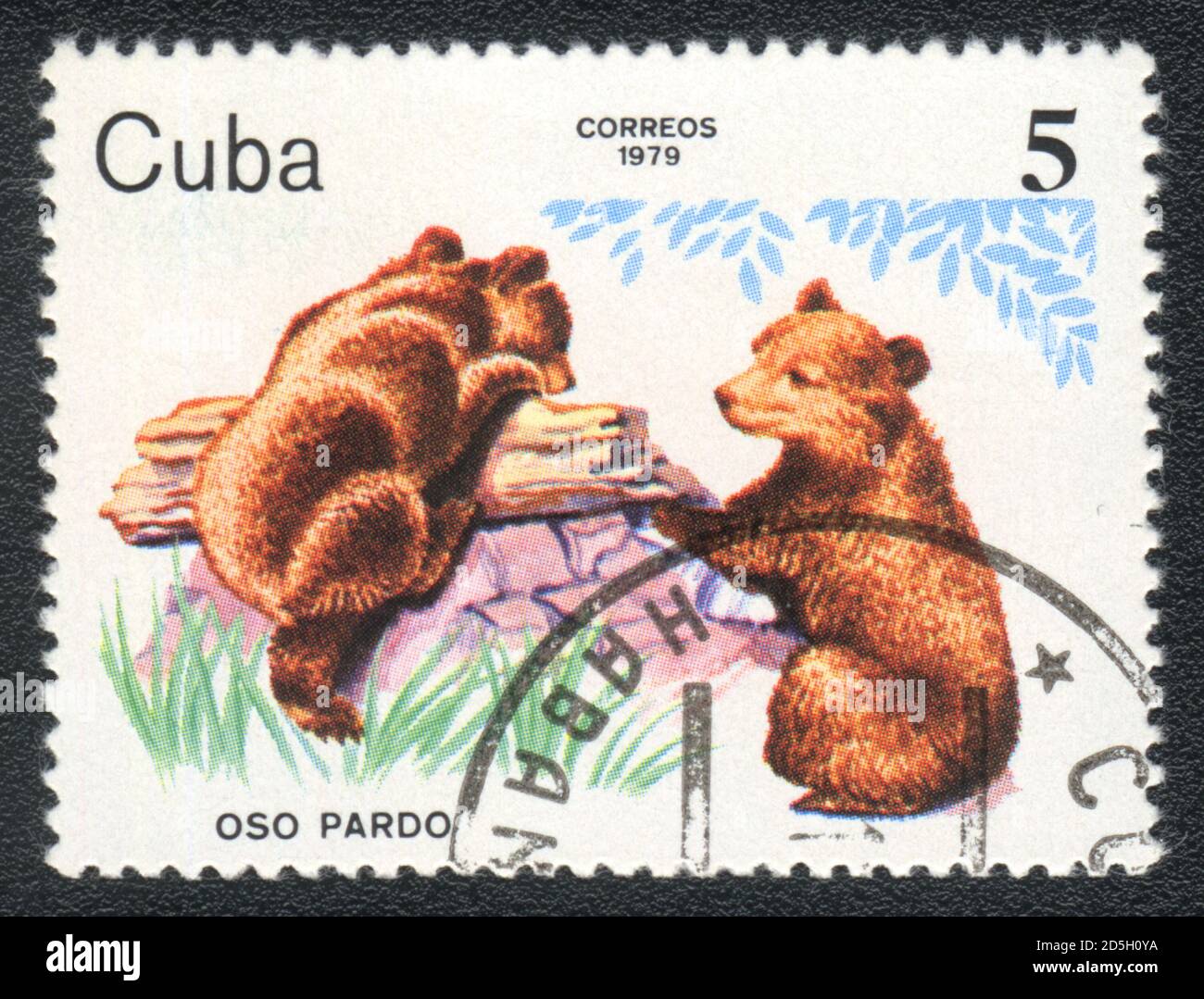 Postage stamp. Two little brown bears, baby animals series, Cuba, 1979 ...