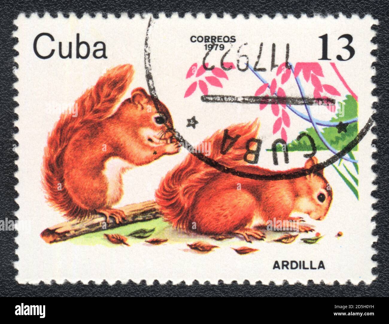 Postage stamp. Two little red squirrels, baby animals series, Cuba ...