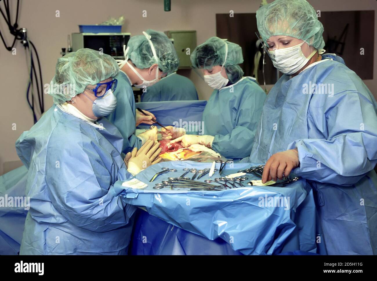Doctors in an operating room perform a Caesarean Birth on a pregnant ...