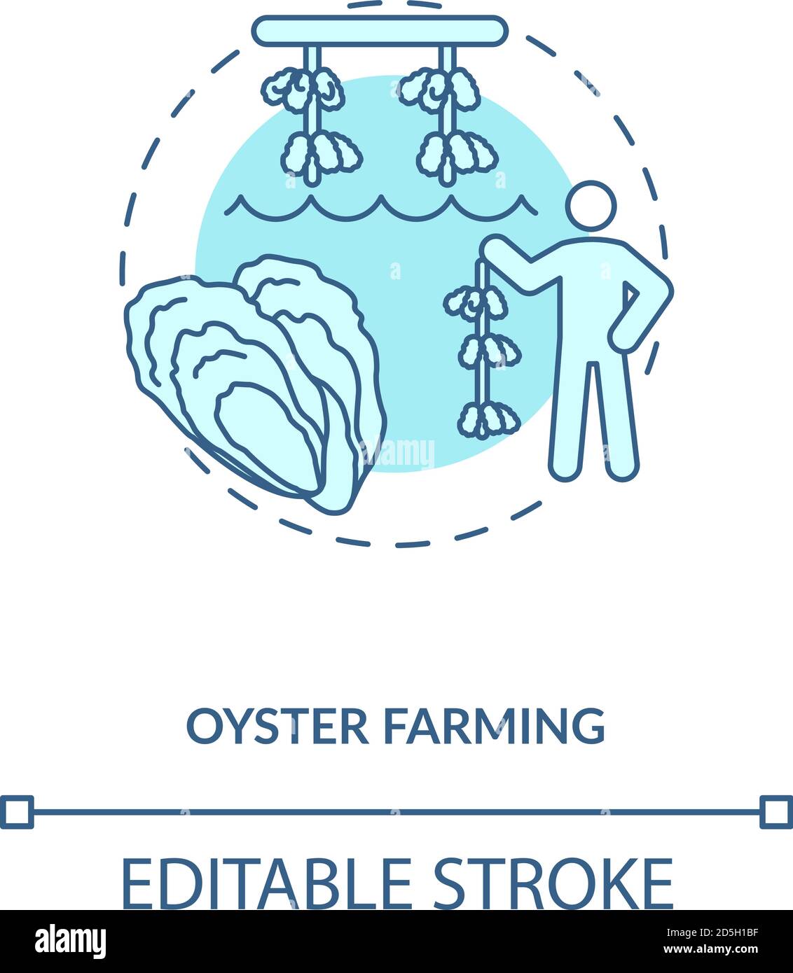 Oyster growing Cut Out Stock Images & Pictures - Alamy