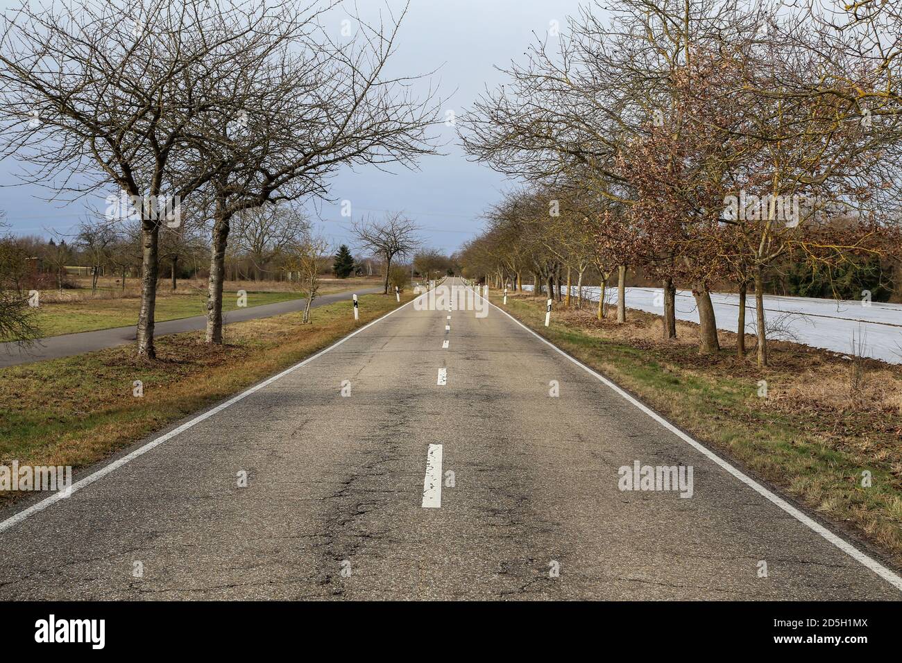 Direct road to the fields in the countryside Stock Photo - Alamy