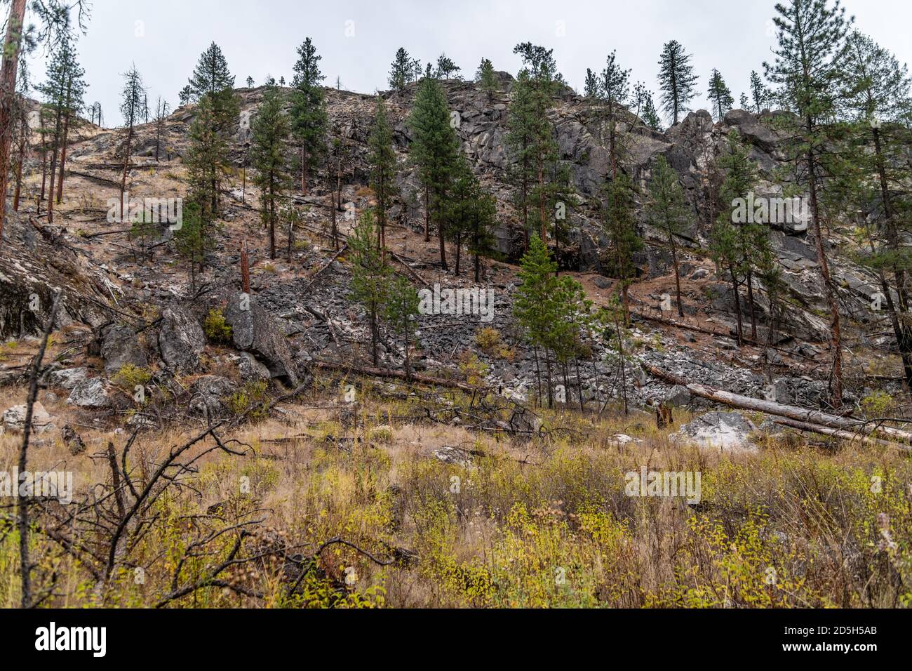 Rock Cliffs In A Burn Area At The Little Spokane Natural Area Stock ...