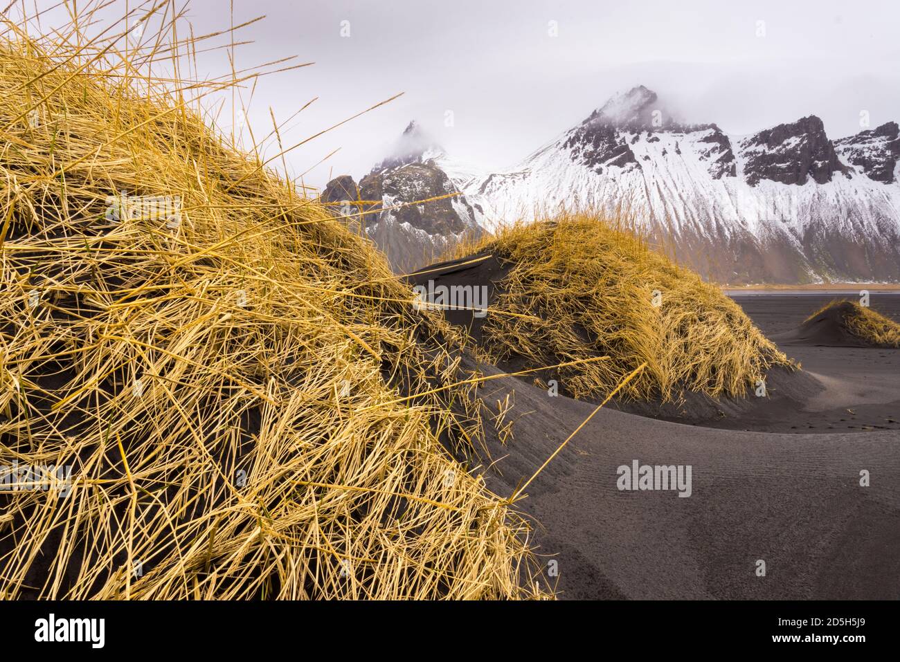 Stokksnes península, Hofn, Southern Iceland, Iceland, Europe Stock ...