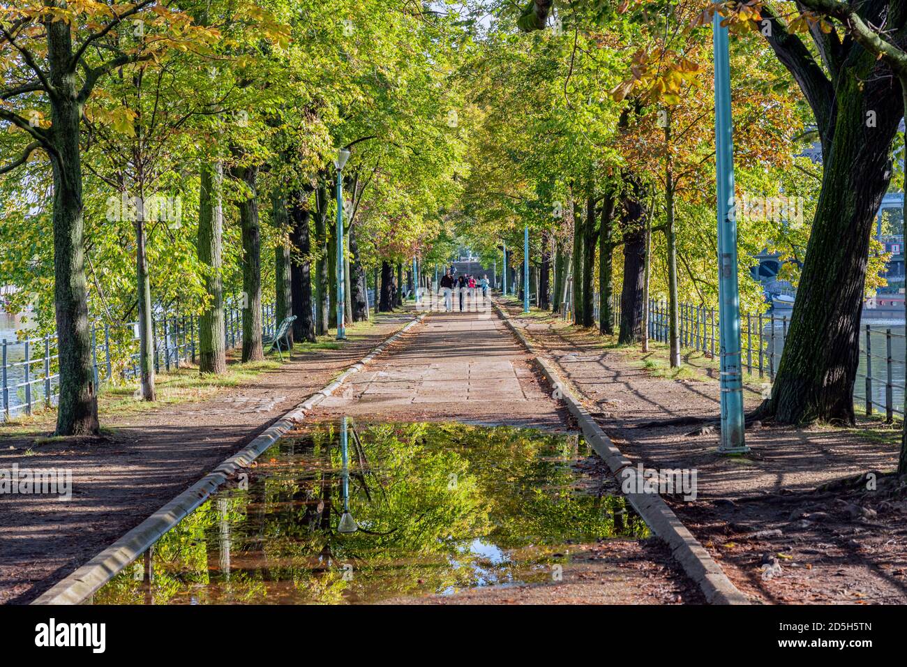 Jogging paris park hi-res stock photography and images - Alamy