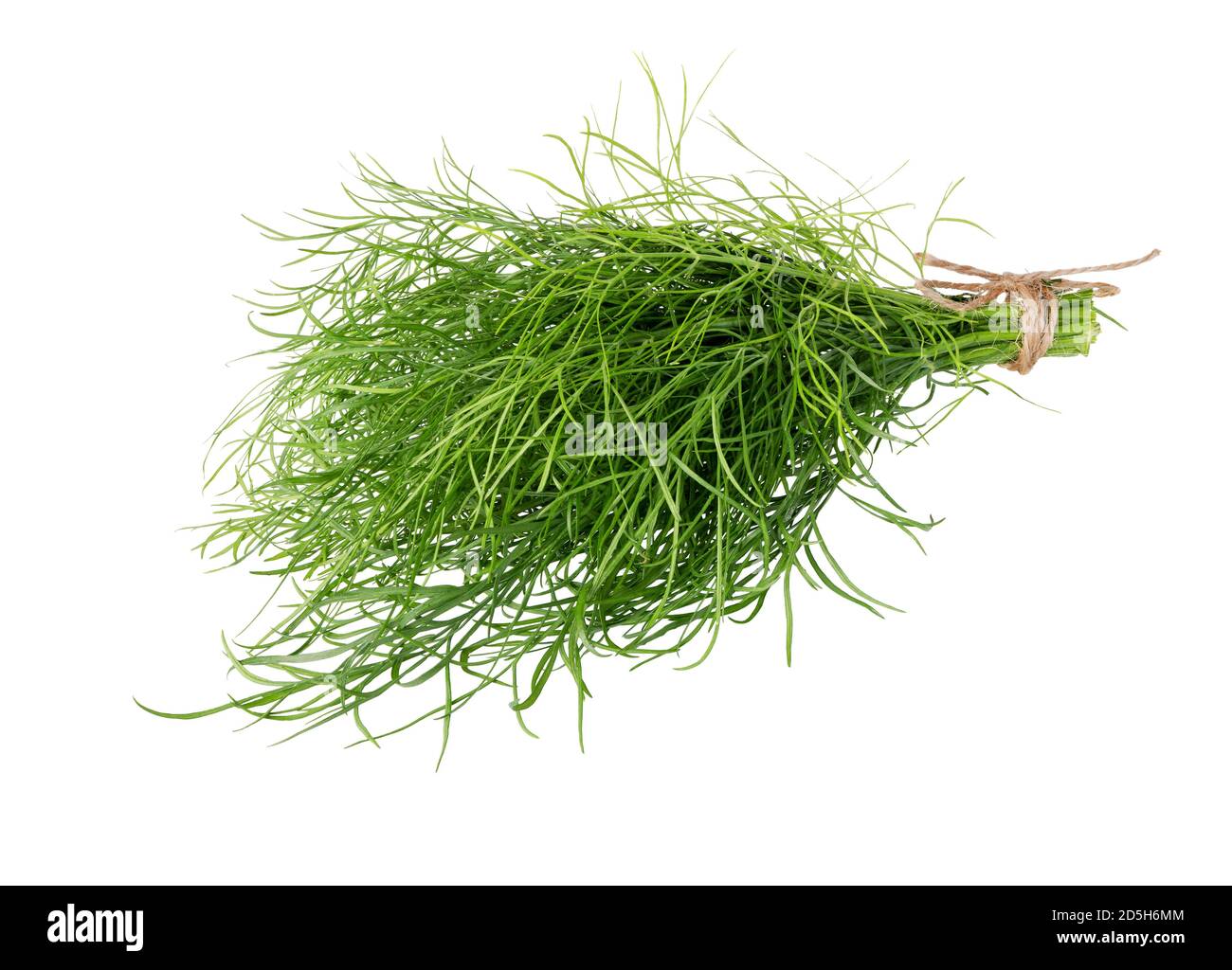 Spice fennel plant hi-res stock photography and images - Alamy