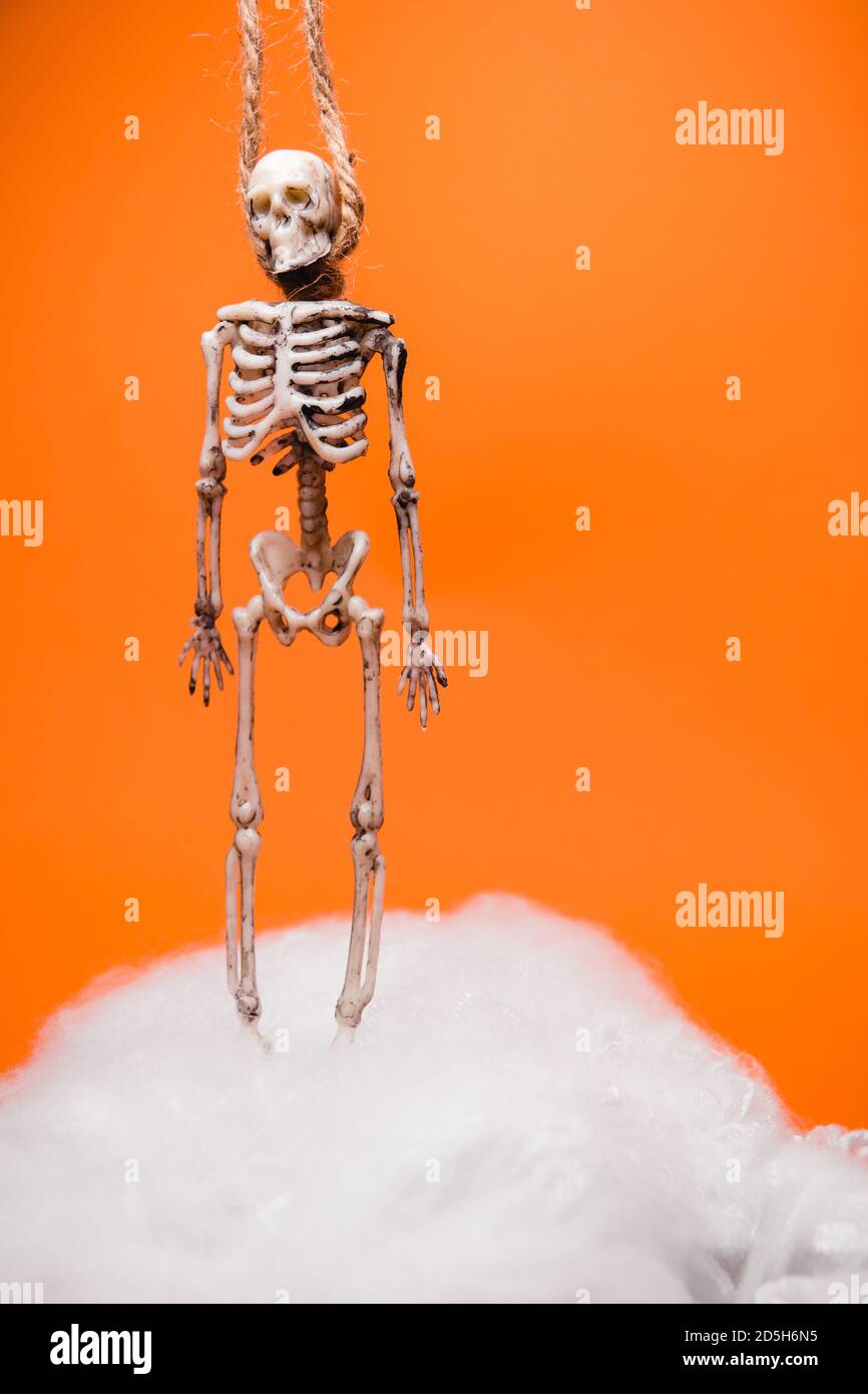 Four fake skeletons on a rope in the shape of a frame on an orange ...