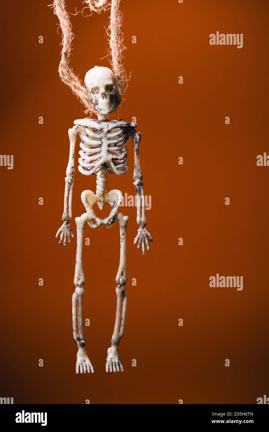 Fake skeleton on a rope in the background on an orange background ...