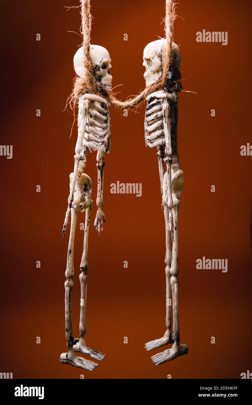 Two fake skeletons on a rope in the background on an orange background ...