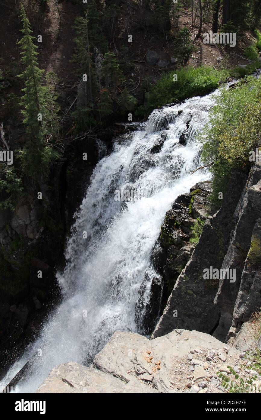 Vertical shot of a low waterfall with white foam in the forest with ...