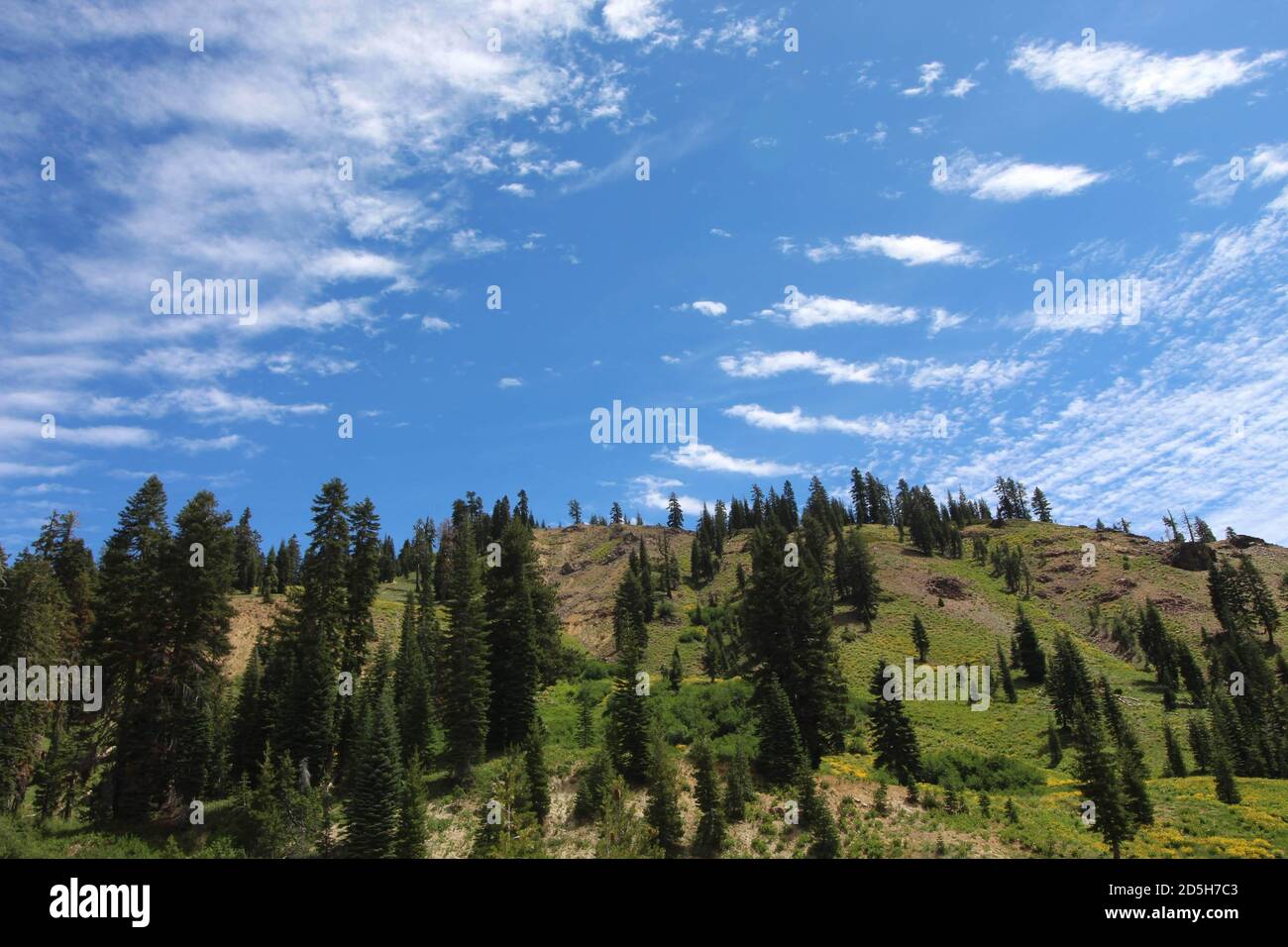 Hill with sparse trees and greenery under the scattered clouds Stock Photo - Alamy