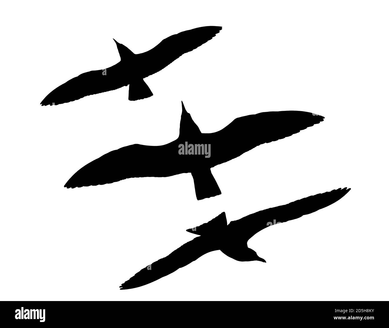 Gull wing shape hi-res stock photography and images - Alamy