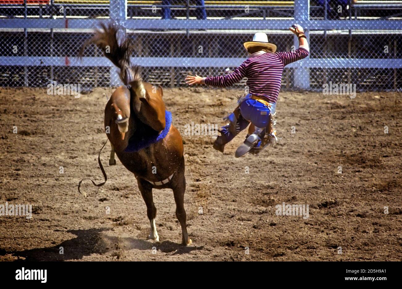 Jumping off the horse hi-res stock photography and images - Alamy