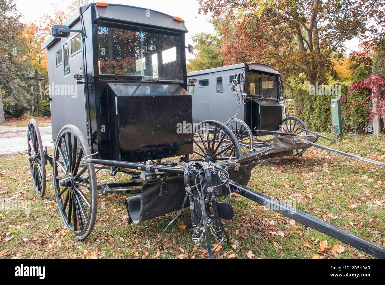 Mennonite horse carriages , Elora, Ontario. Front view Stock Photo - Alamy