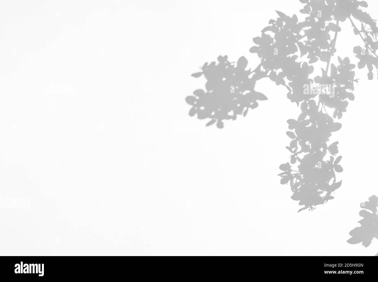 Artistic apple tree hi-res stock photography and images - Alamy