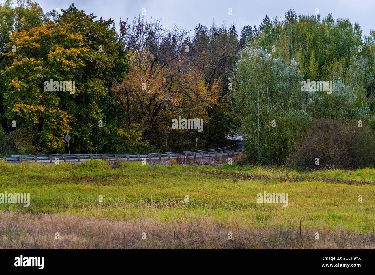 Riverside weeds hi-res stock photography and images - Alamy