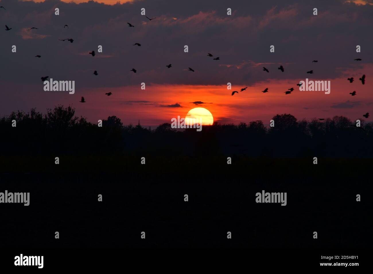 the setting sun and the red sky Stock Photo - Alamy