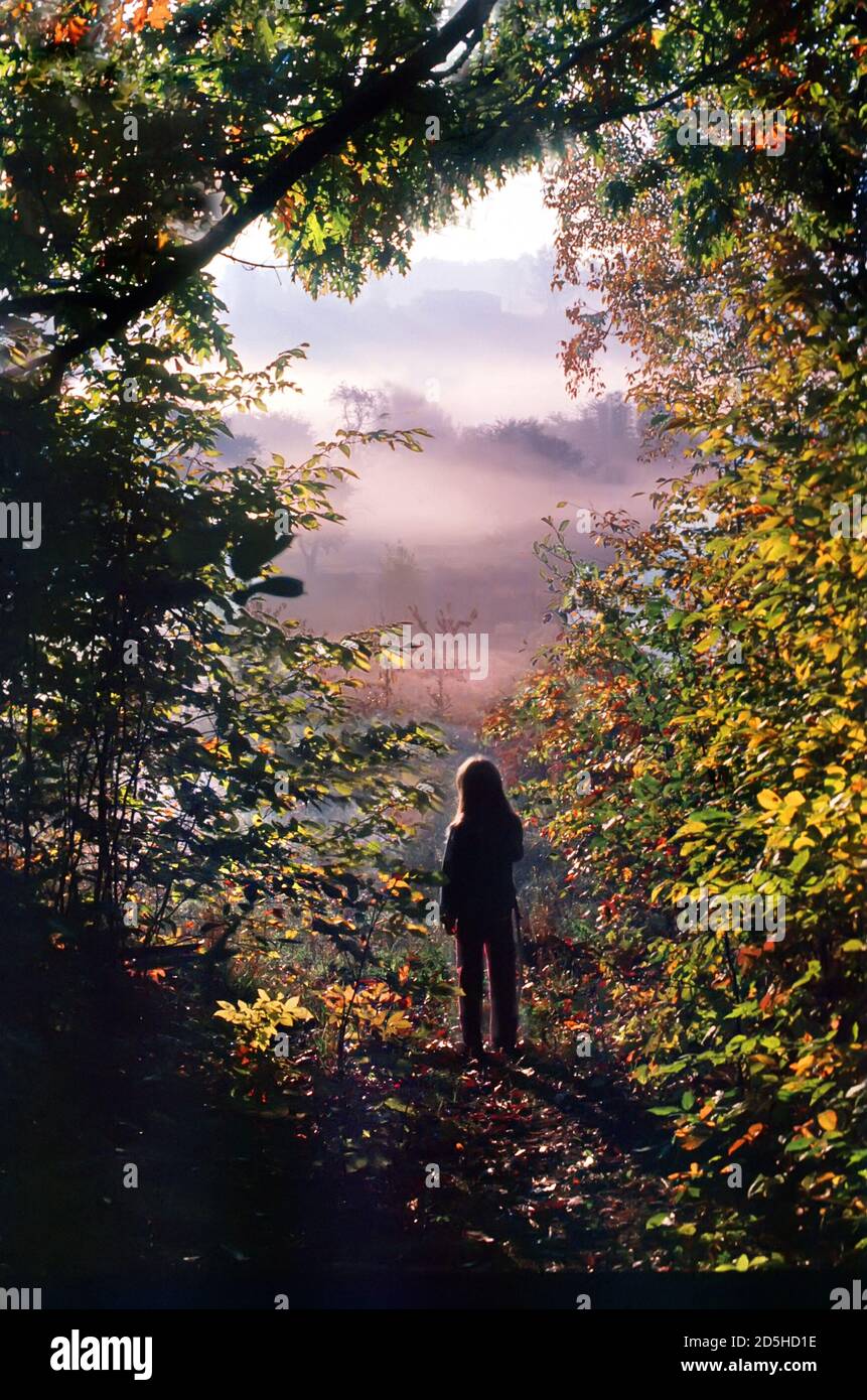 6 year old girl walks out of a forest into a clearing on a misty ...