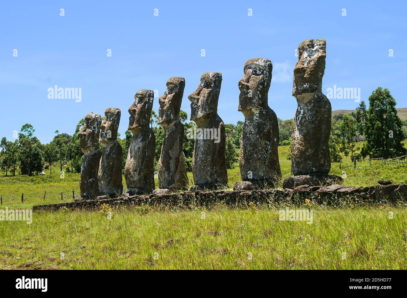 The seven Moai at the at Ahu Akivi site on Easter Island, Rapa Nui ...