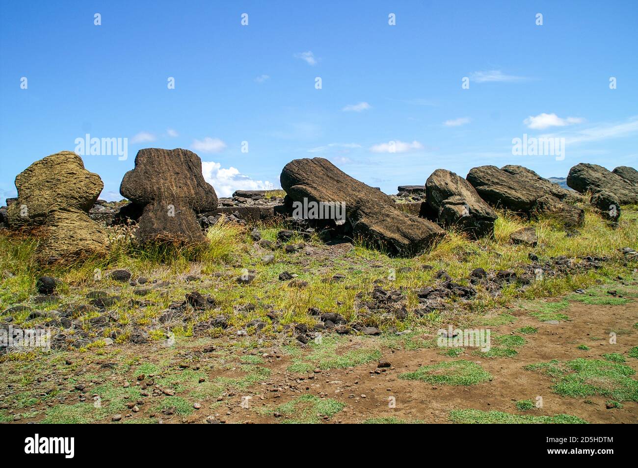 Moai at the at Ahu Akivi site on Easter Island lay as they have fallen ...