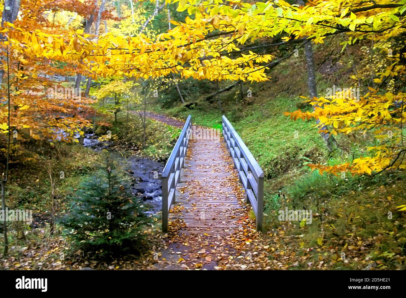 Autumn scenic with empty walking bridge at Munising Water Falls ...