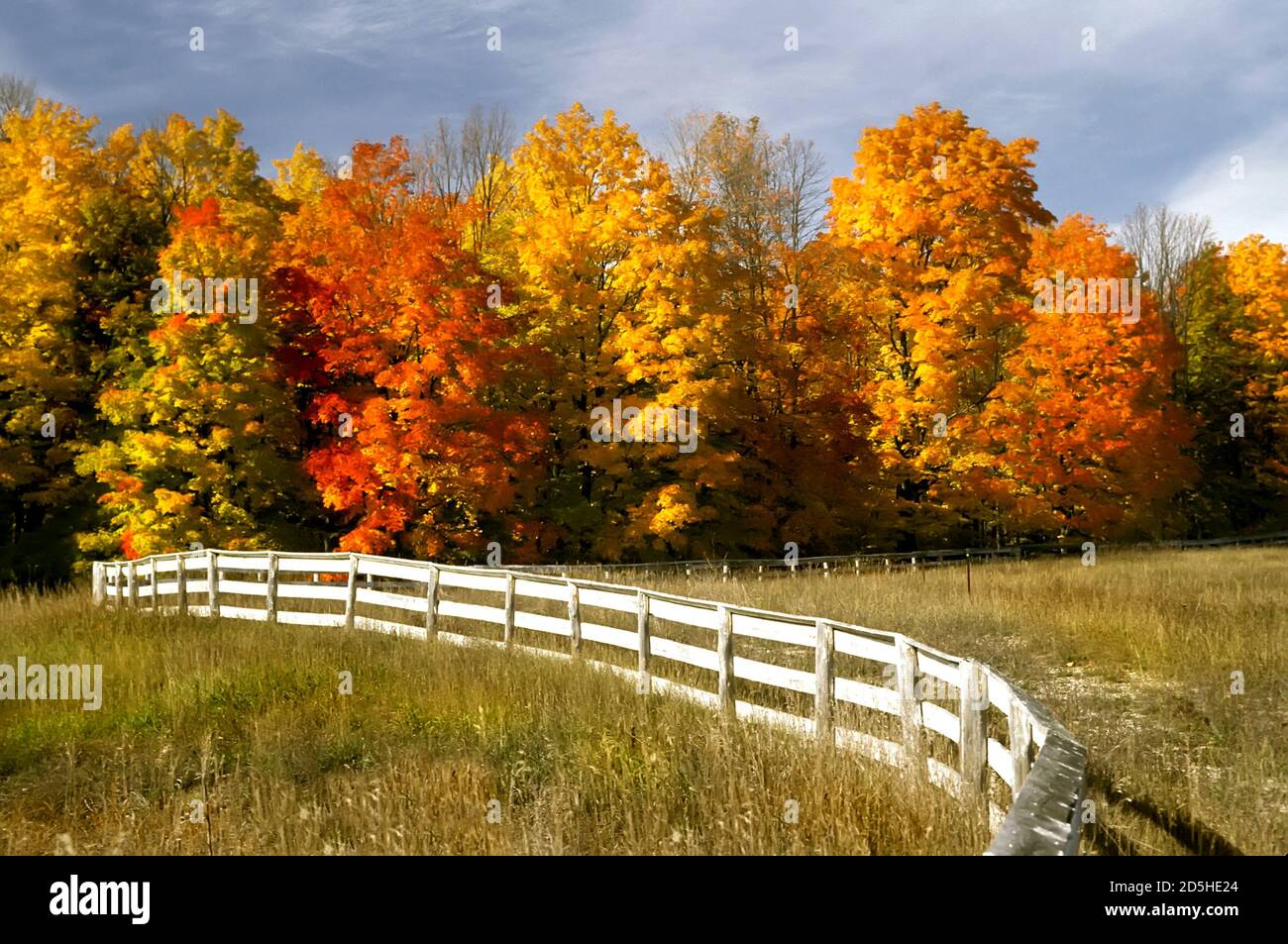 Autumn scenic in Michigan's upper lower peninsula near Petosky Stock ...