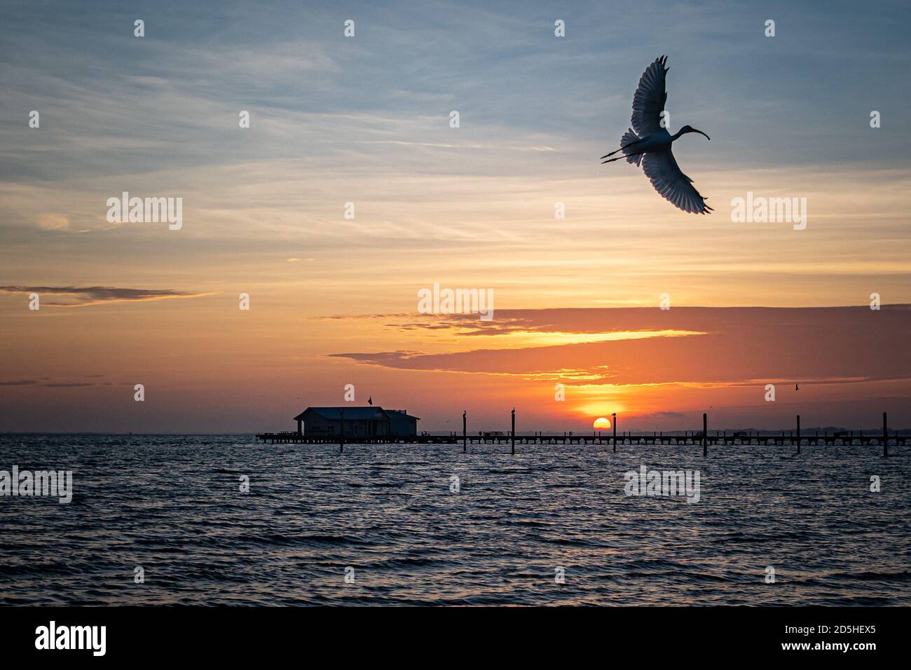 Rod and Reel Pier Anna Maria Island, Florida Stock Photo - Alamy