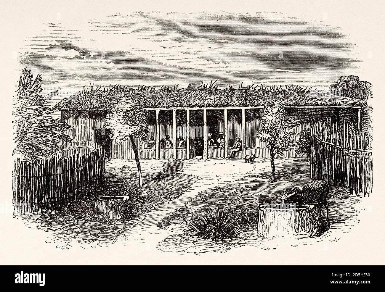 Old illustration of a tembe hi-res stock photography and images - Alamy