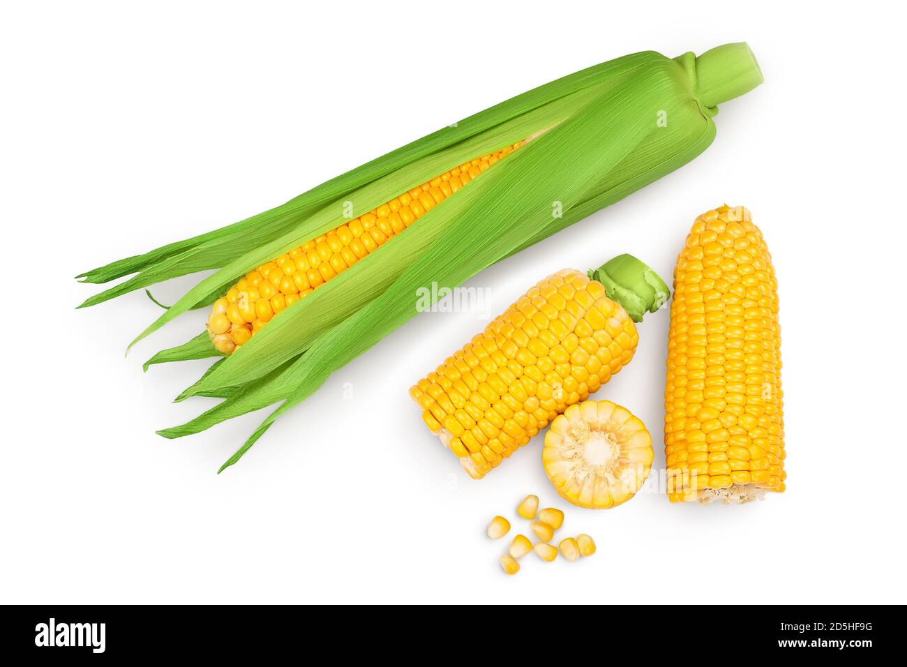 ear of corn isolated on a white background. Clipping path. Top view ...