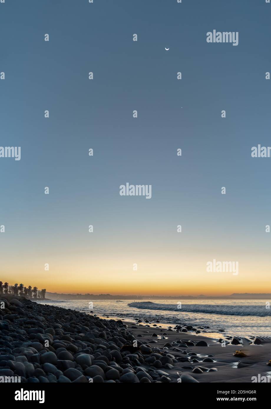 California venus hi-res stock photography and images - Alamy