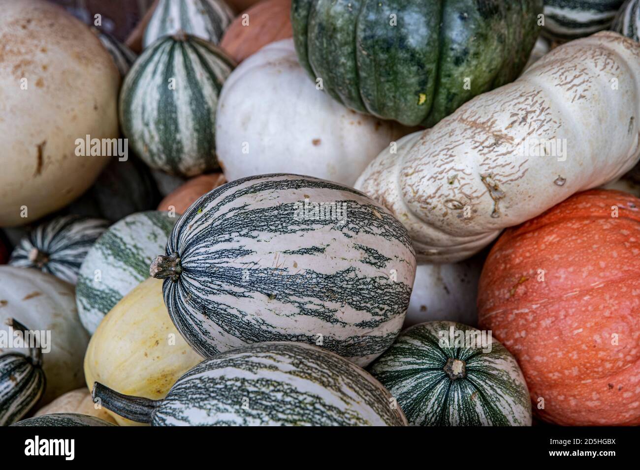 Squash on display at a farmers market Stock Photo - Alamy