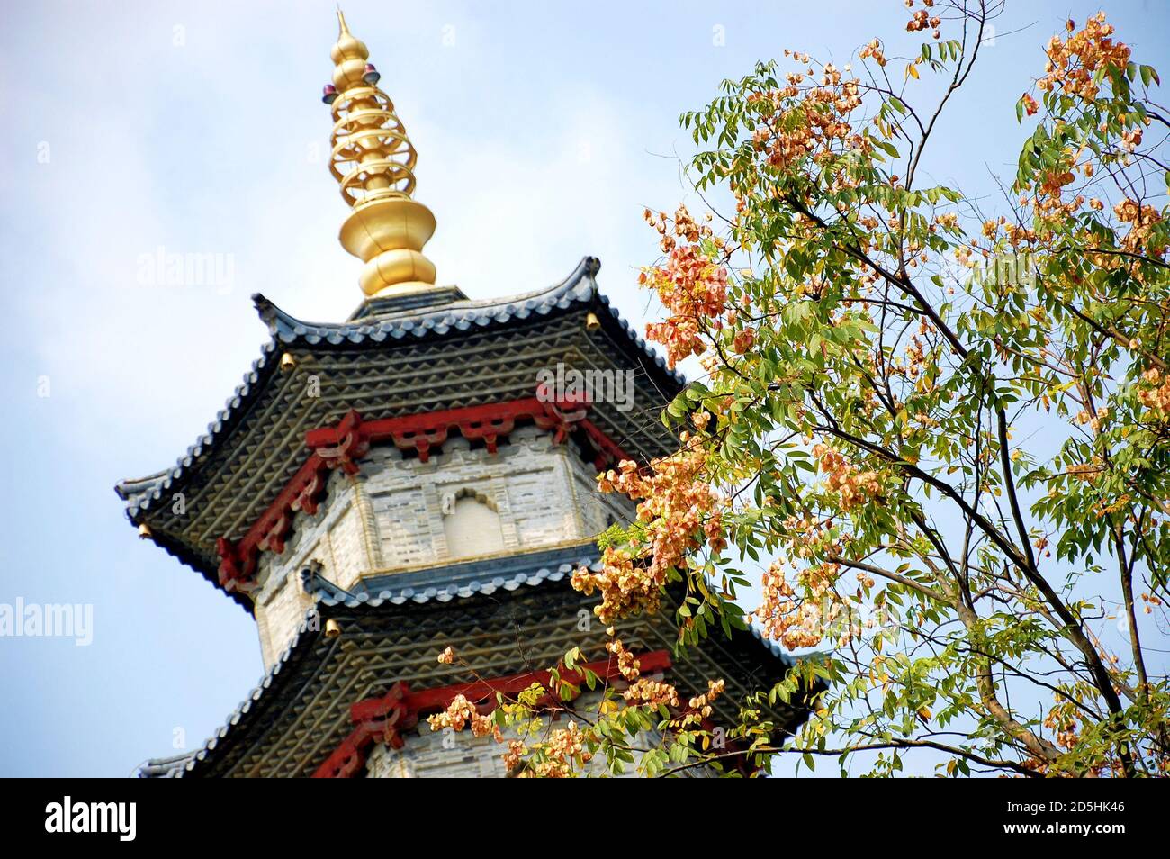 Tower of a Chinese temple / Pagoda with a golden spire, tree with ...