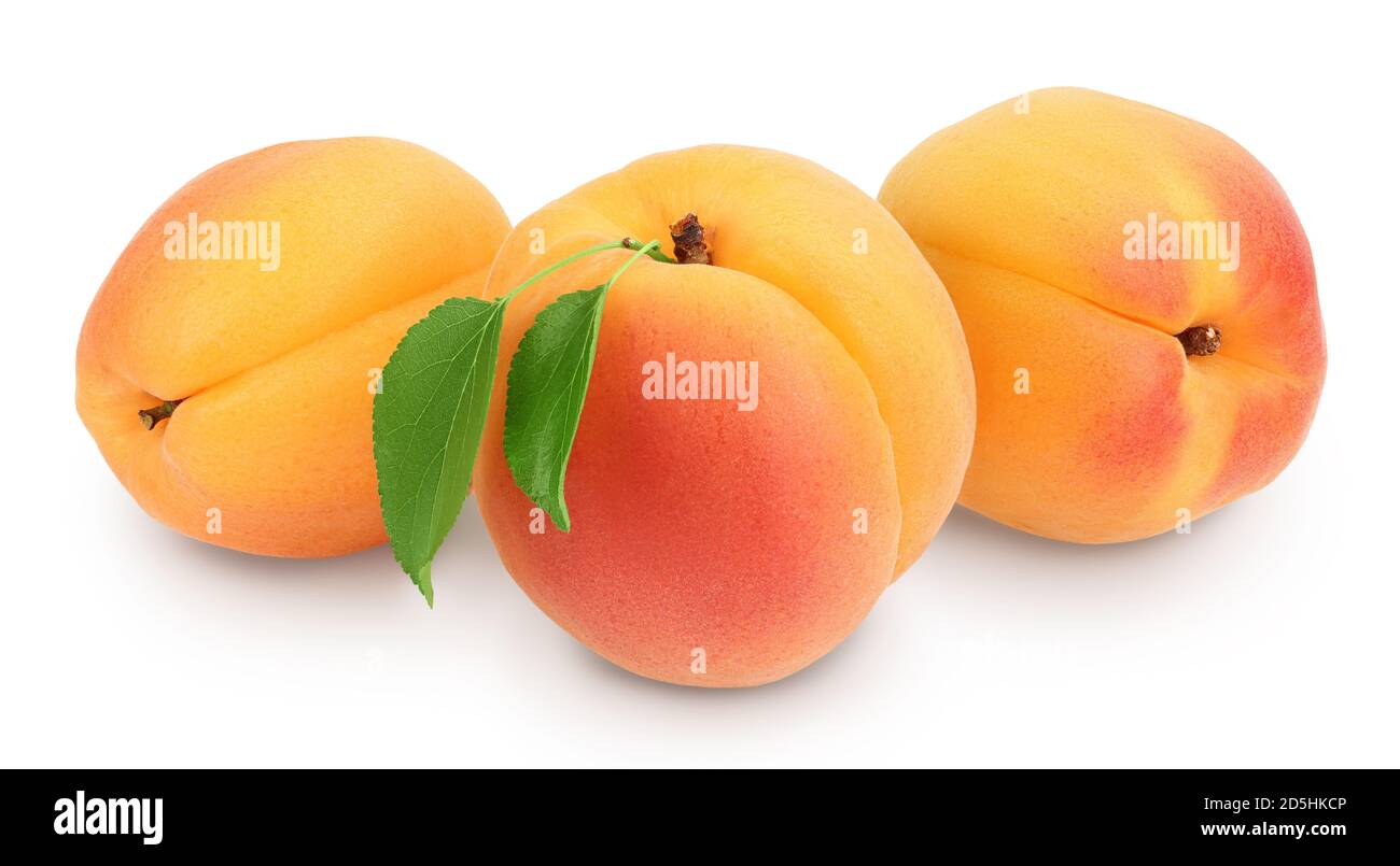 apricot fruit isolated on white background. Clipping path and full ...