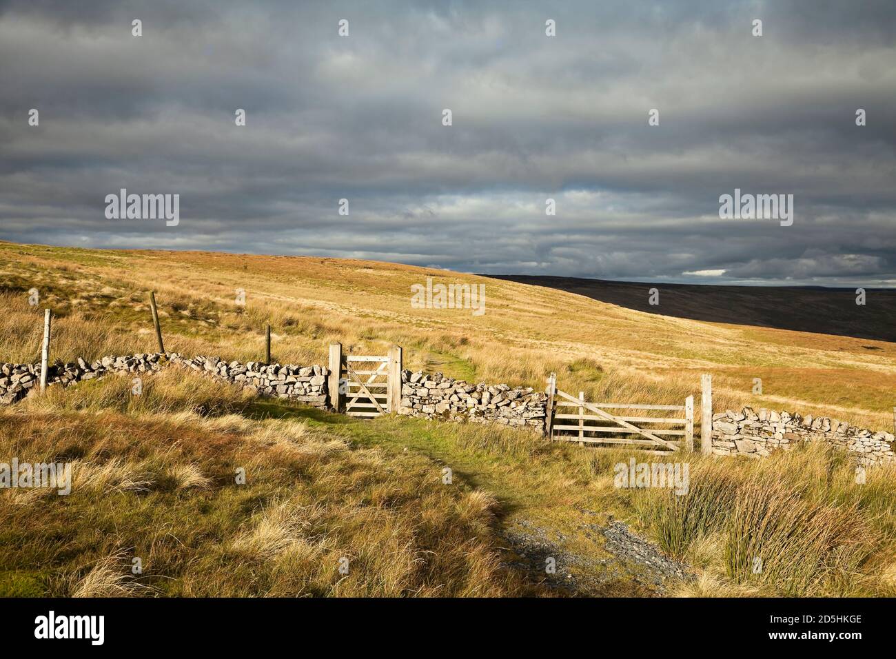 Gate in the Pennine Way as it crosses the flank of Fountains Fell in ...