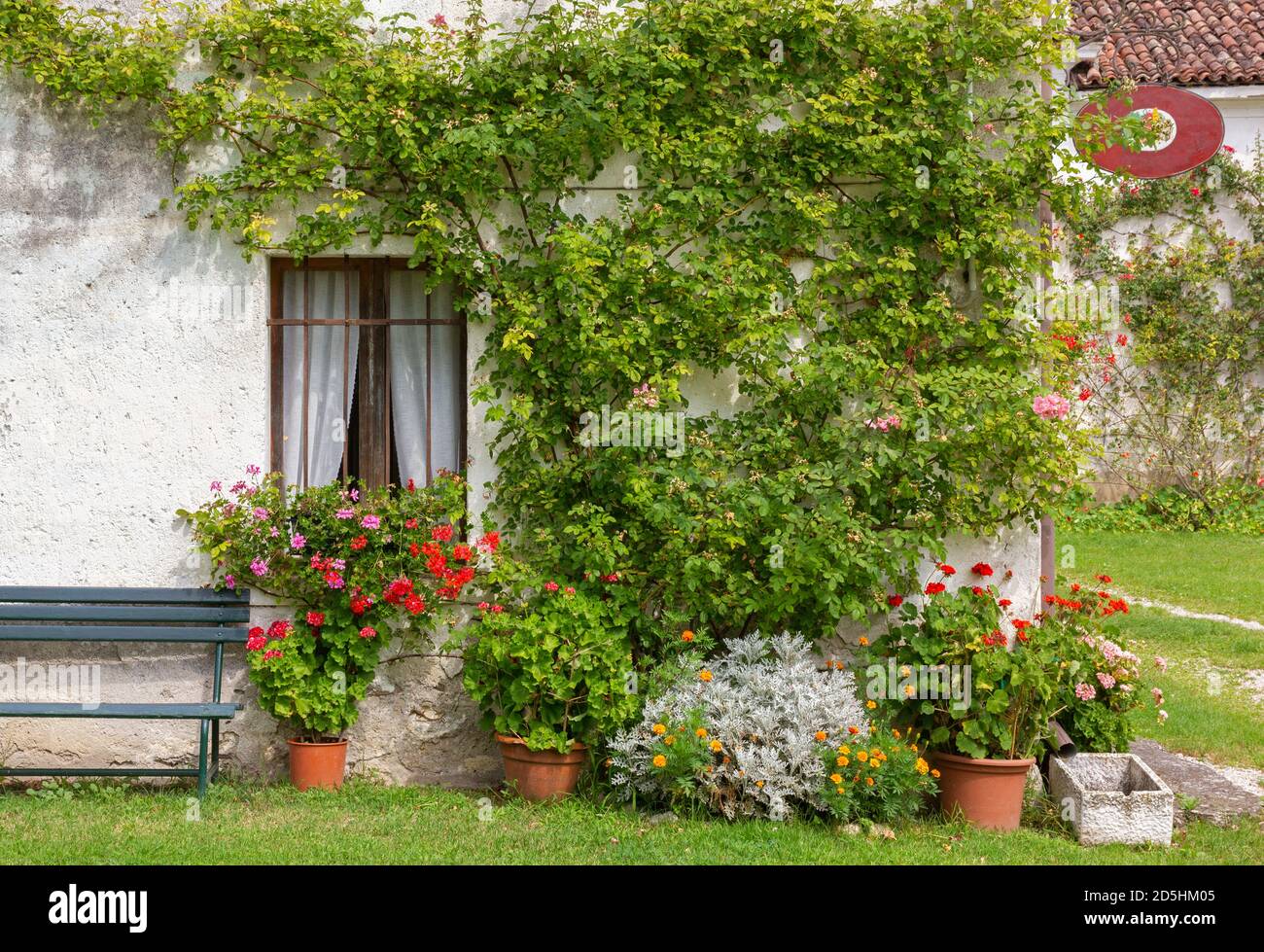 Facade of an old traditional rural building decorated with plants and ...
