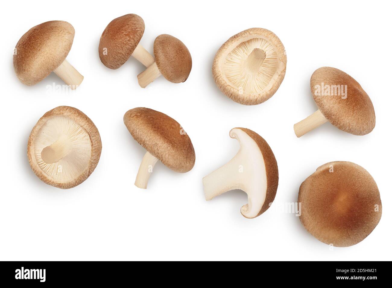Fresh Shiitake mushroom isolated on white background with clipping path ...