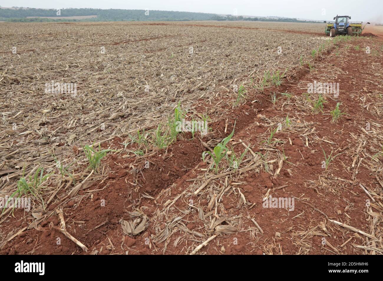 Rained soil hi-res stock photography and images - Alamy