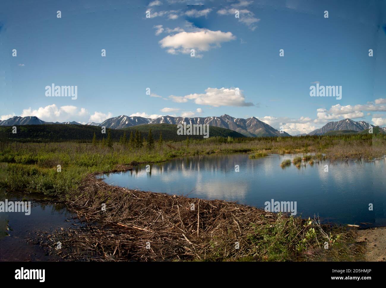 View of Alaska's wilderness: Mountains, River, Beaver Dam, and ...