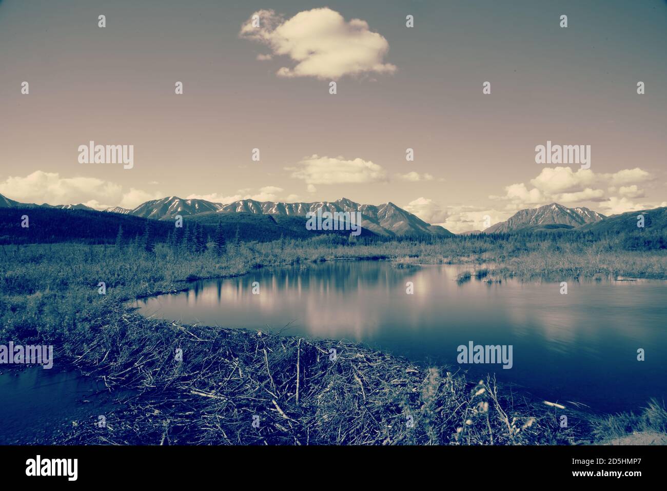 Beaver dam with clouds and an lake hi-res stock photography and images ...