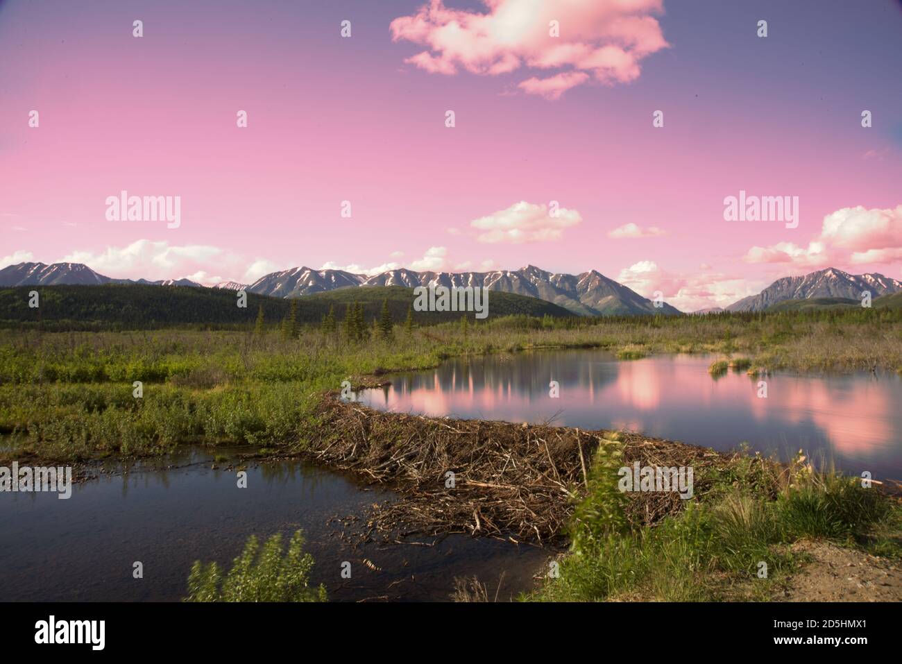 View of Alaska's wilderness: Mountains, River, Beaver Dam, and ...