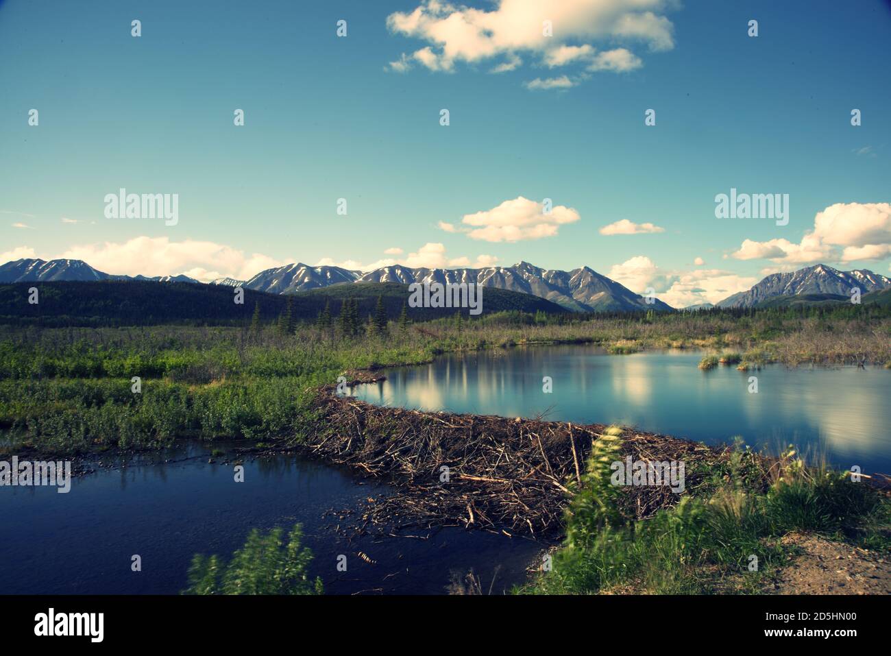 View of Alaska's wilderness: Mountains, River, Beaver Dam, and ...