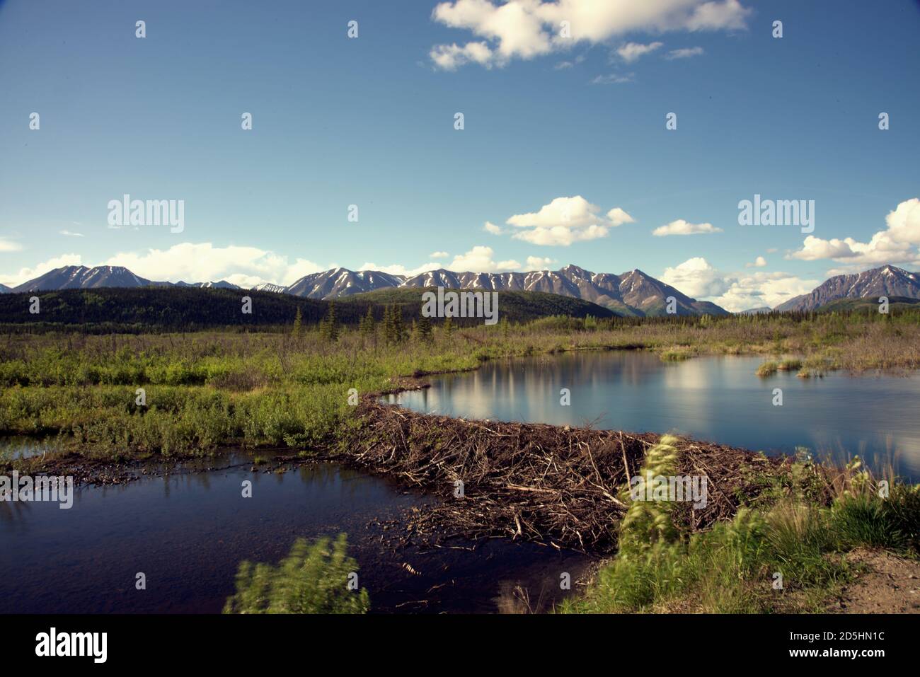 View of Alaska's wilderness: Mountains, River, Beaver Dam, and ...