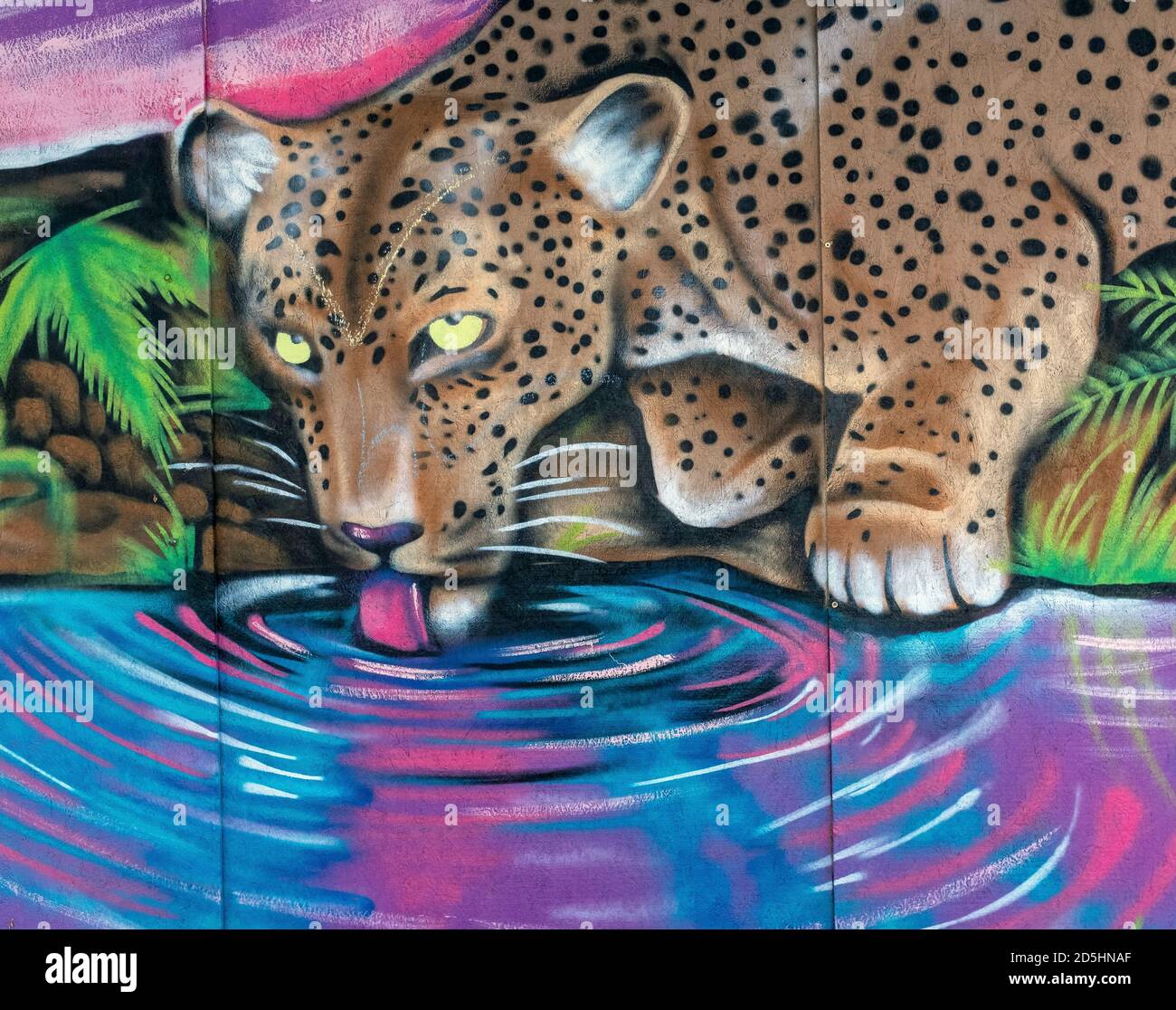 protest art on boarded up storefronts: Central Avenue (Rt.66) in ...