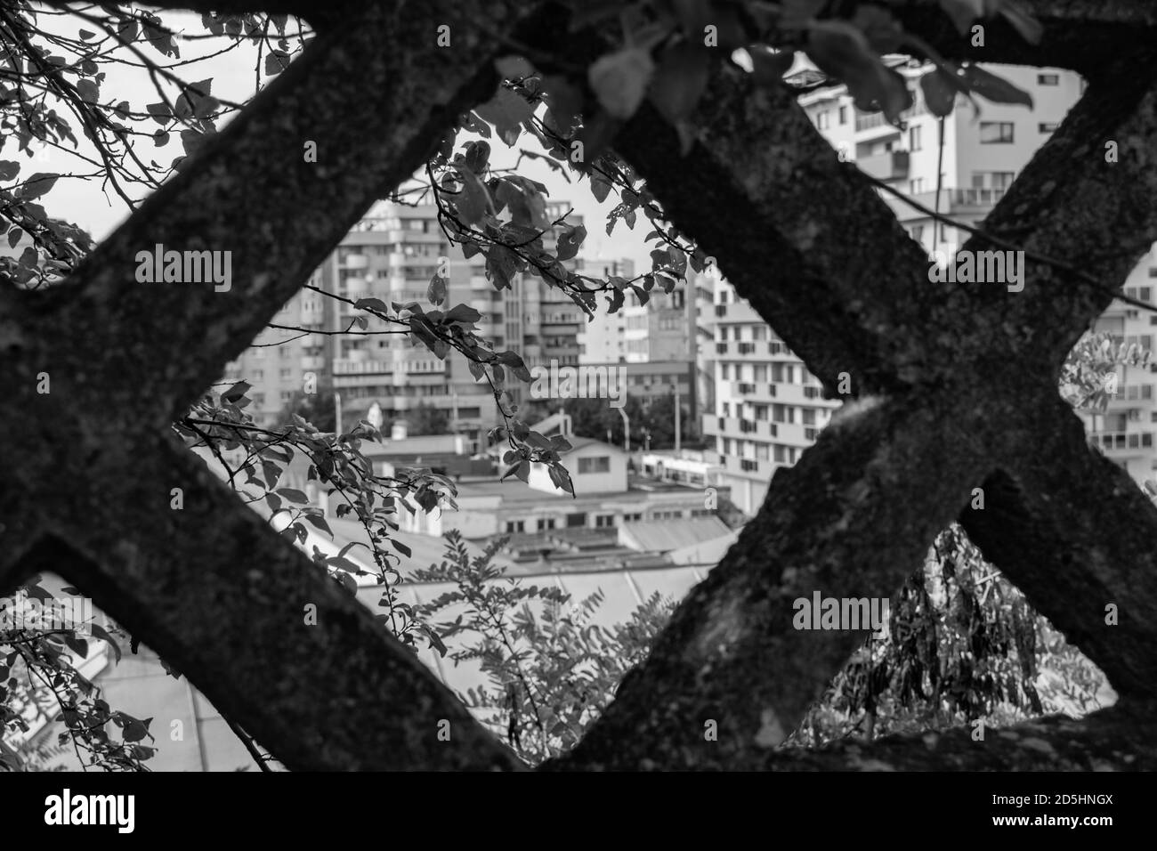 Grayscale shot of residential buildings on the foreground of a stone ...