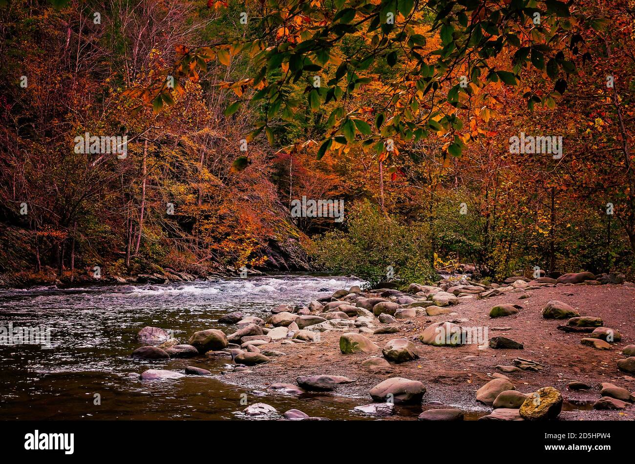 Fall foliage is reflected in a stream in Great Smoky Mountains National ...