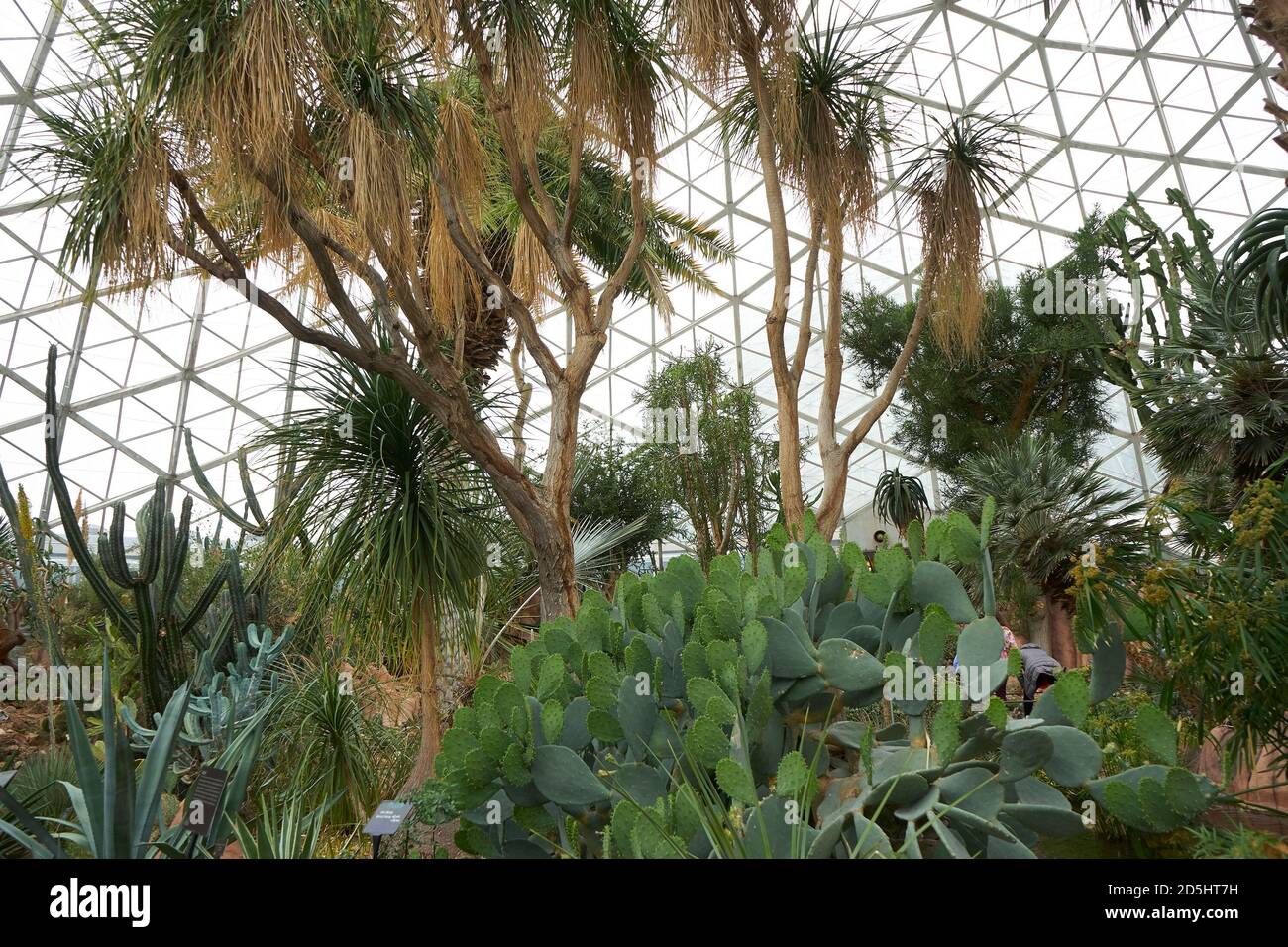 Desert dome at the Mitchell Park Horticultural Domes, Milwaukee ...