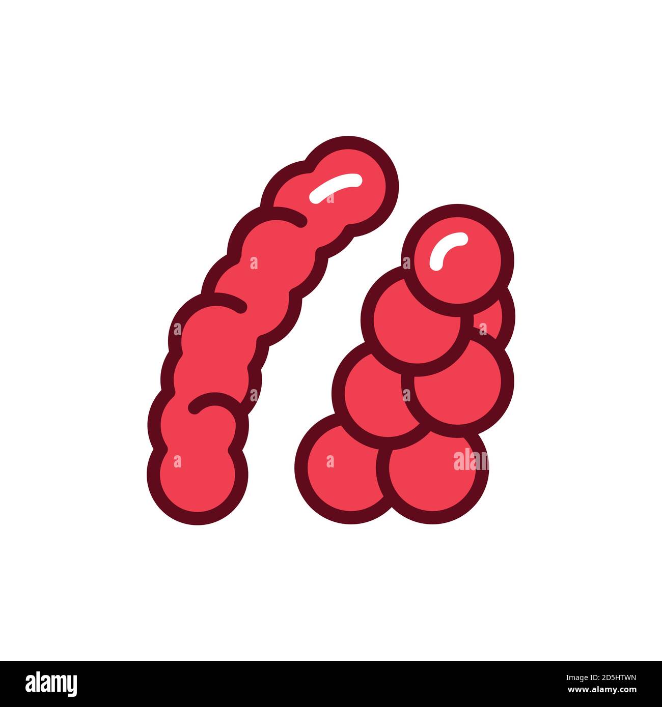 Streptococci hi-res stock photography and images - Alamy